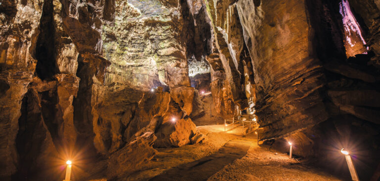 Africa - Cradle of Humankind | Eco Tourism Consultancy